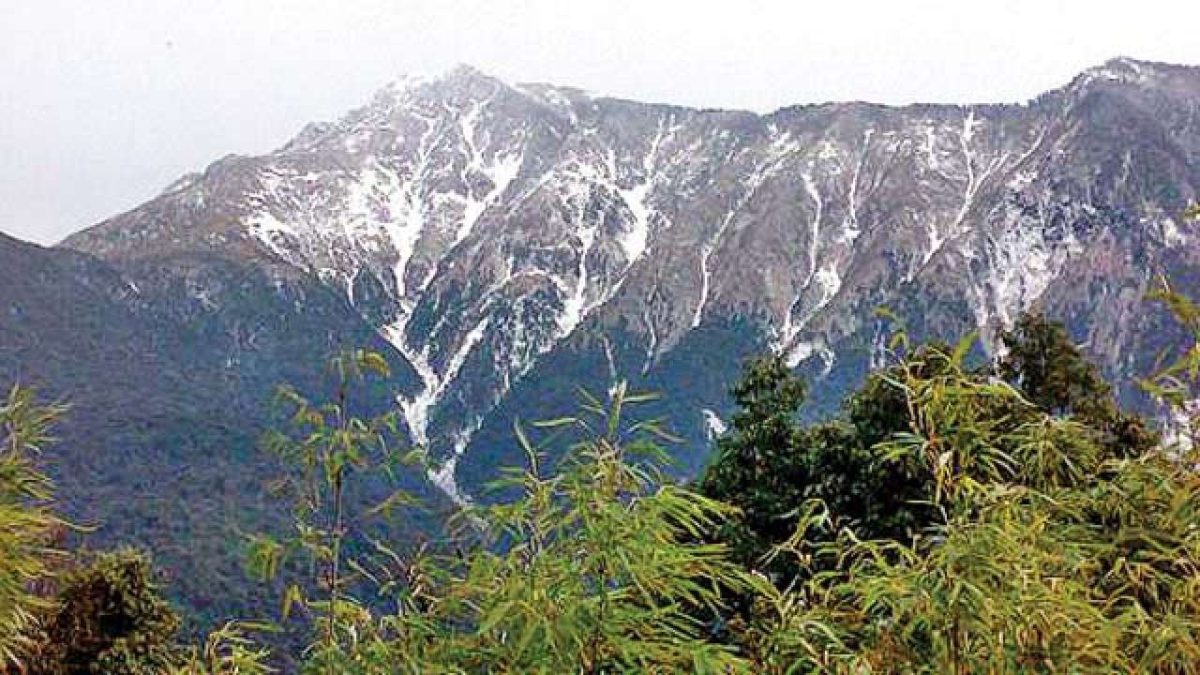 Hydropower Project in Dibang Valley will cost 2.7 Lakh Trees | Hupshup